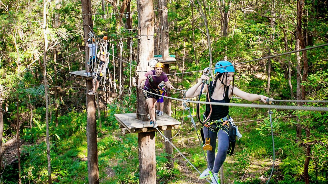 TREE TOP CHALLENGE CWS - Currumbin Sands